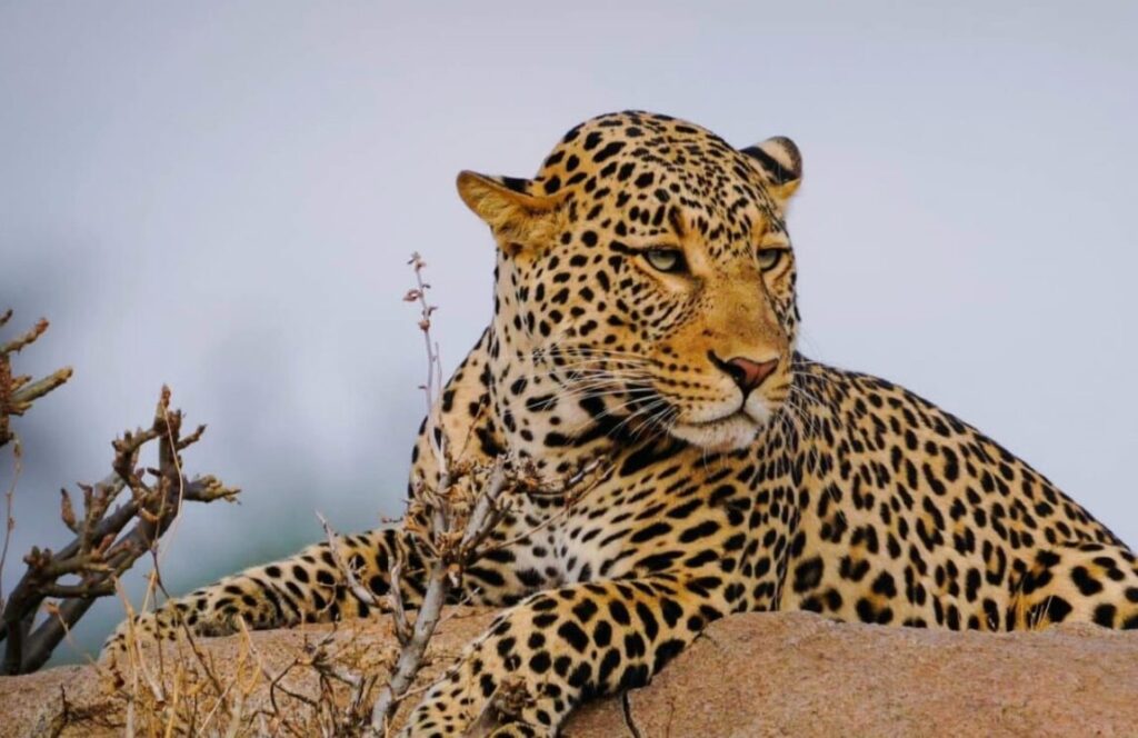 Kenya Adventure Tours | Arrow Adventures Kenya