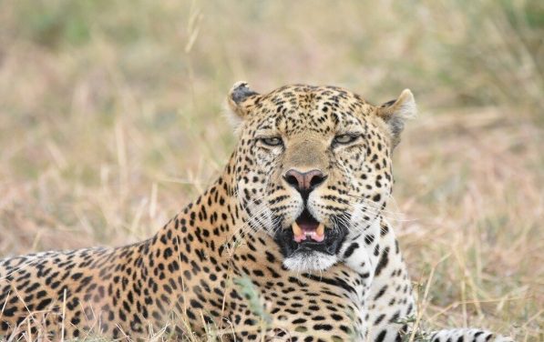 Kenya Adventure Tours | Arrow Adventures Kenya